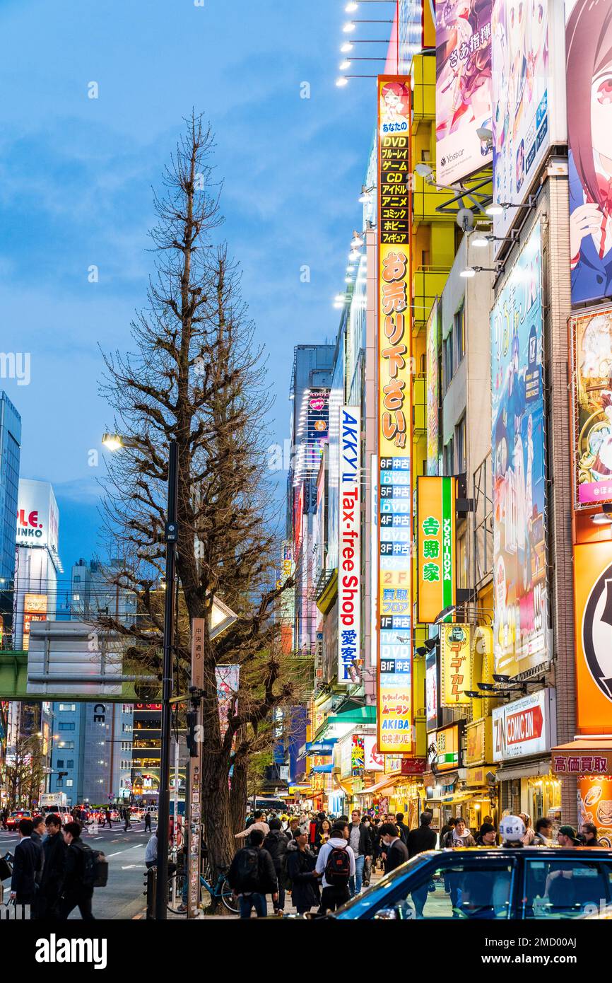 Tokyo, Akihabara, Chuo-dori street. View along of crowded pedestrian ...