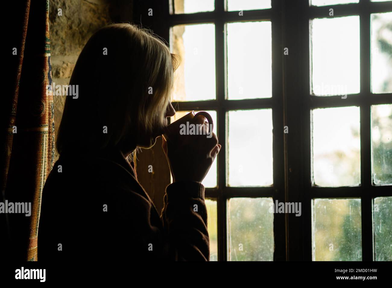 A woman sits near the window with a cup of coffee. Loneliness, sadness ...