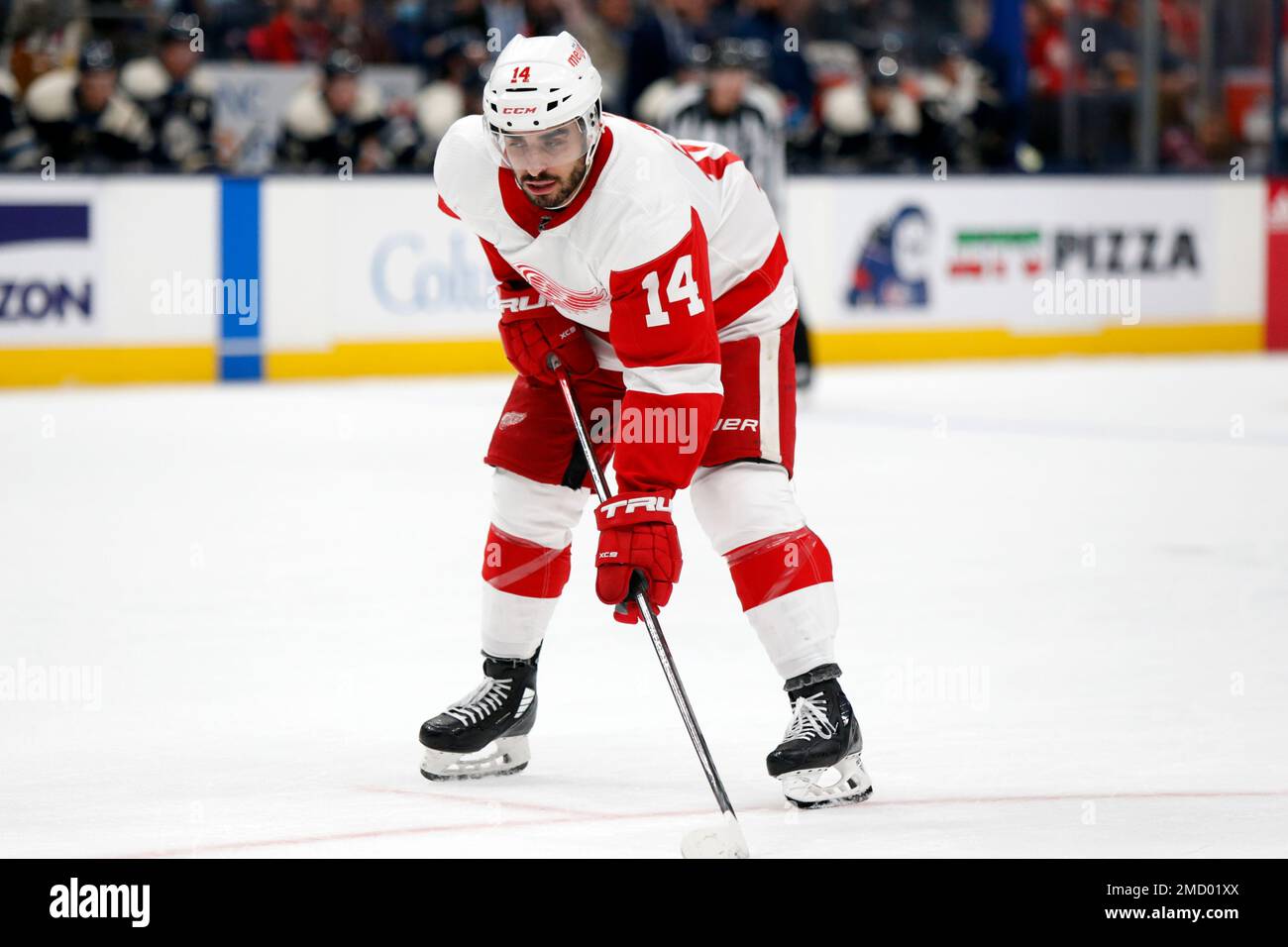 Detroit Red Wings forward Robby Fabbri is seen during an NHL hockey ...