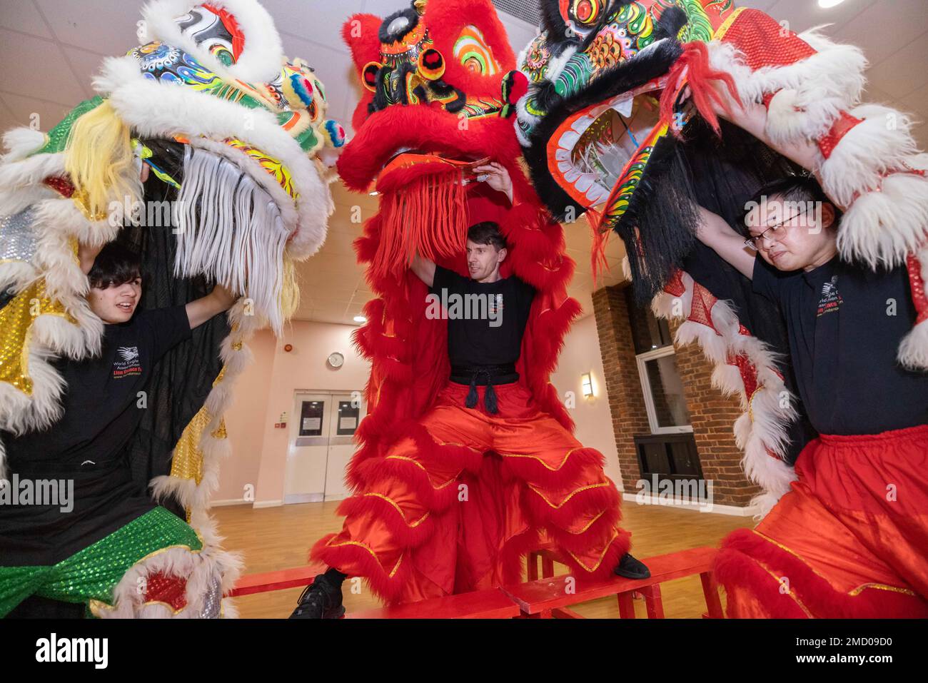 World eagle claw association uk lion dance team hi-res stock ...