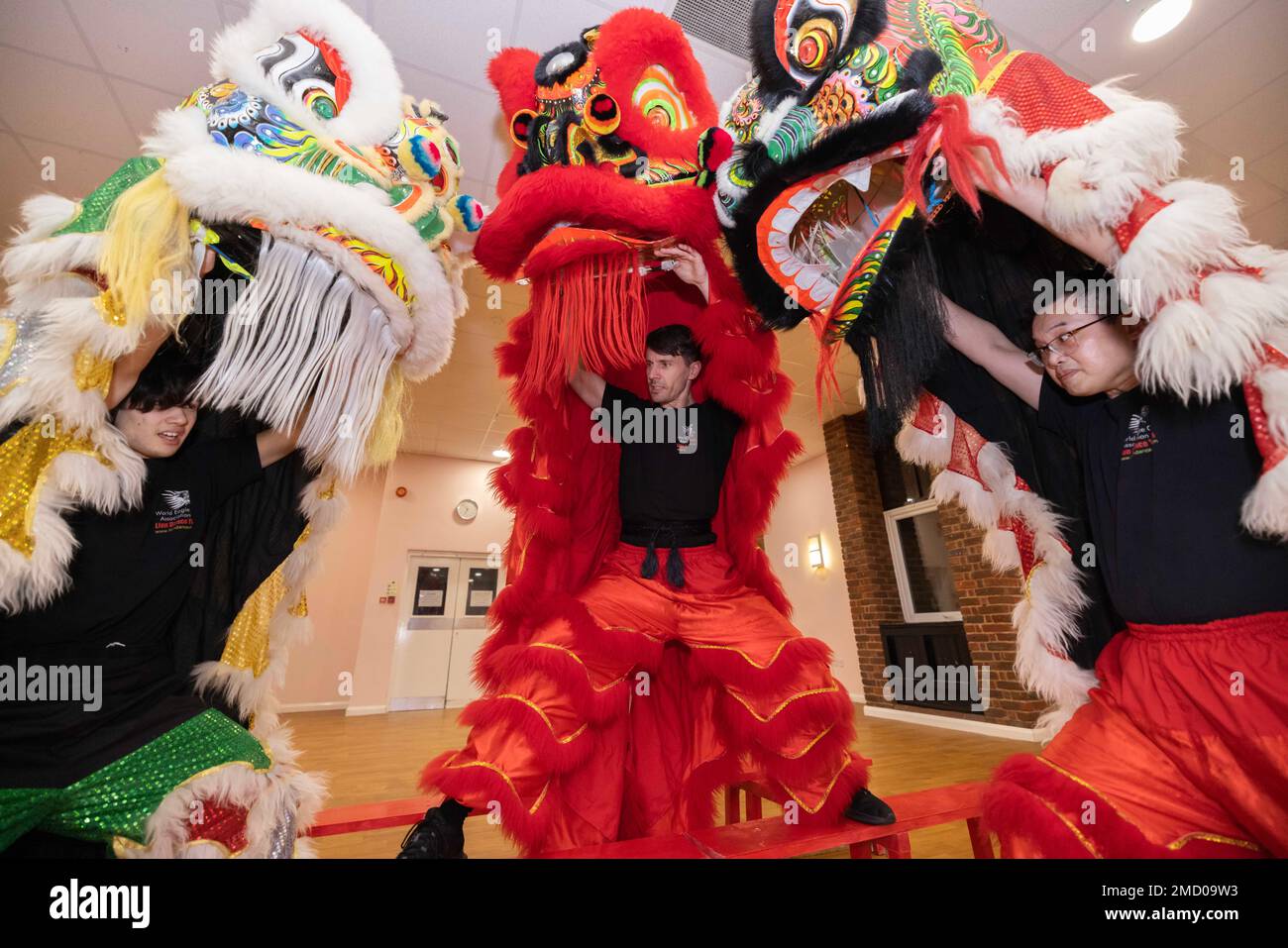World eagle claw association uk lion dance team hi-res stock ...