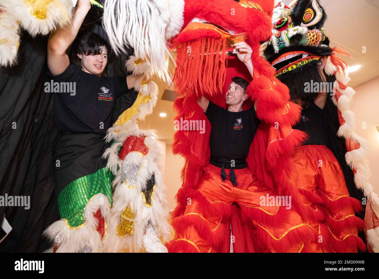 World eagle claw association uk lion dance team hi-res stock ...