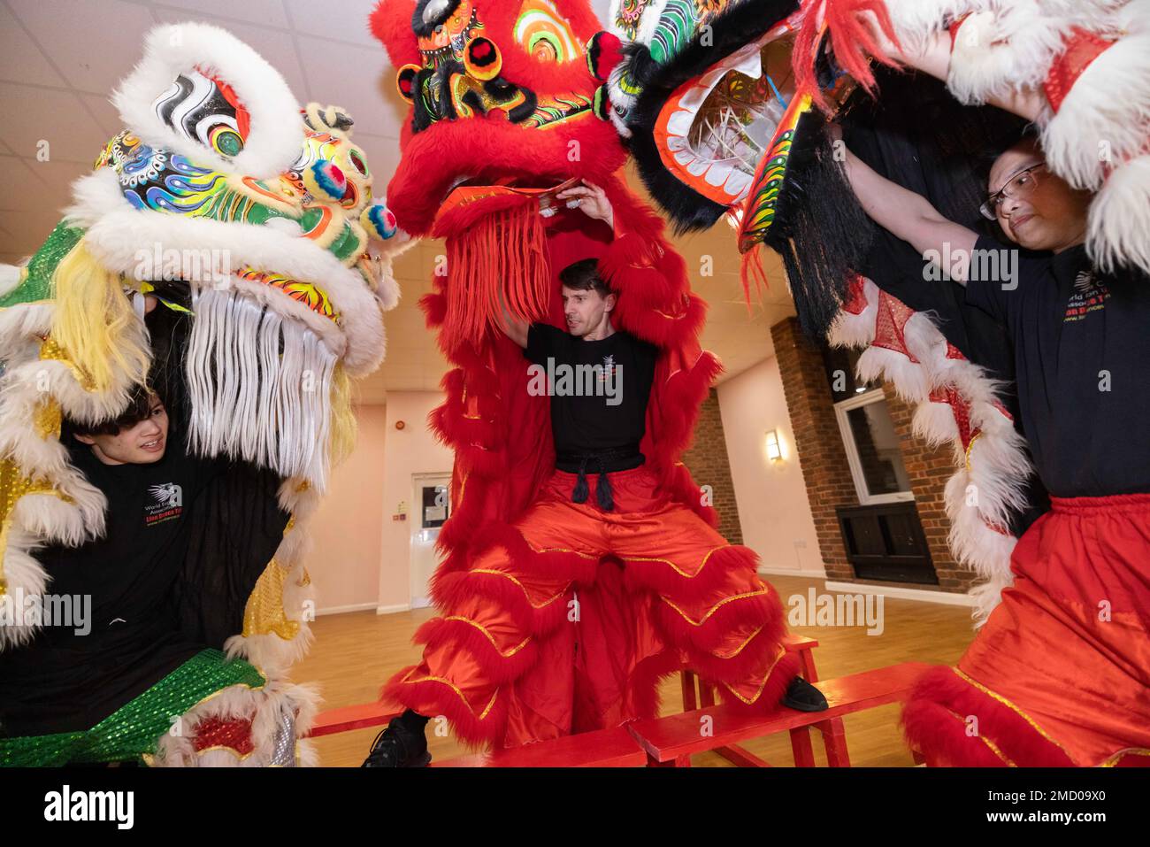 World eagle claw association uk lion dance team hi-res stock ...