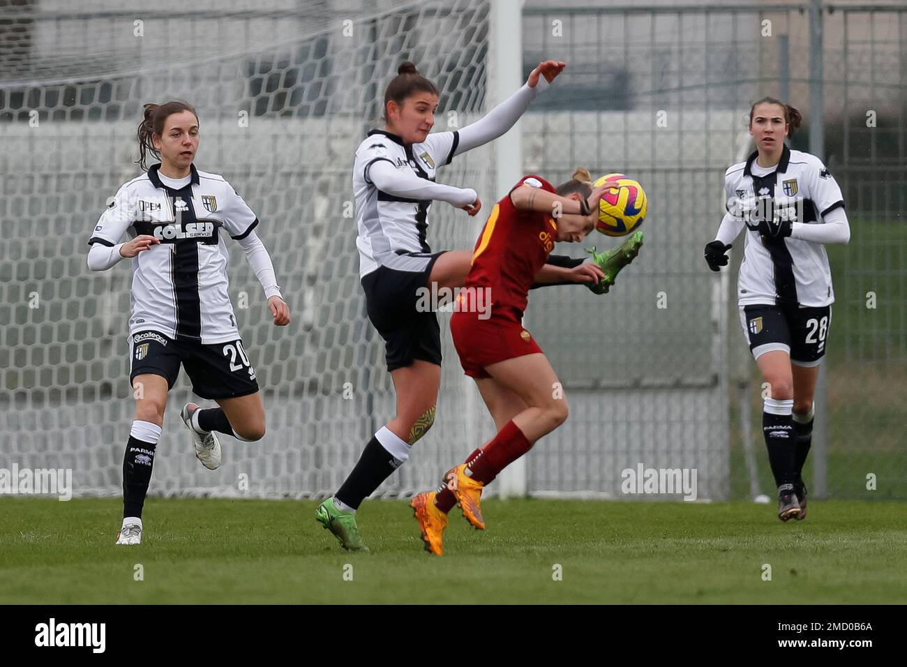 Giada bianca hi-res stock photography and images - Alamy