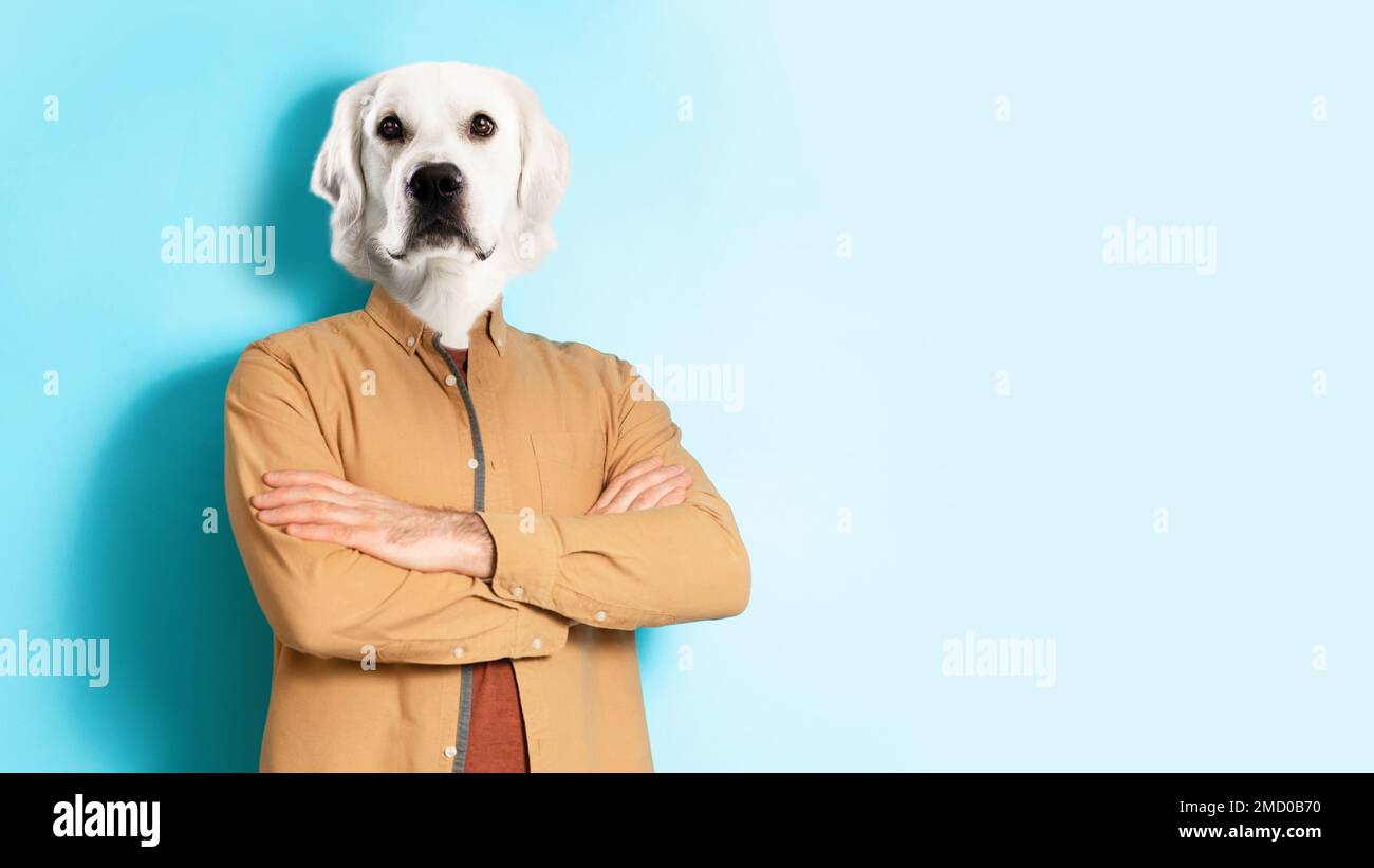 Confident man with dog head crossing arms on chest Stock Photo - Alamy