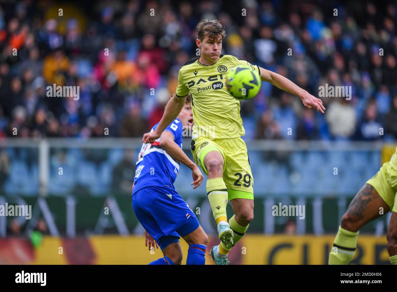 Sampdoria jaka hi-res stock photography and images - Alamy