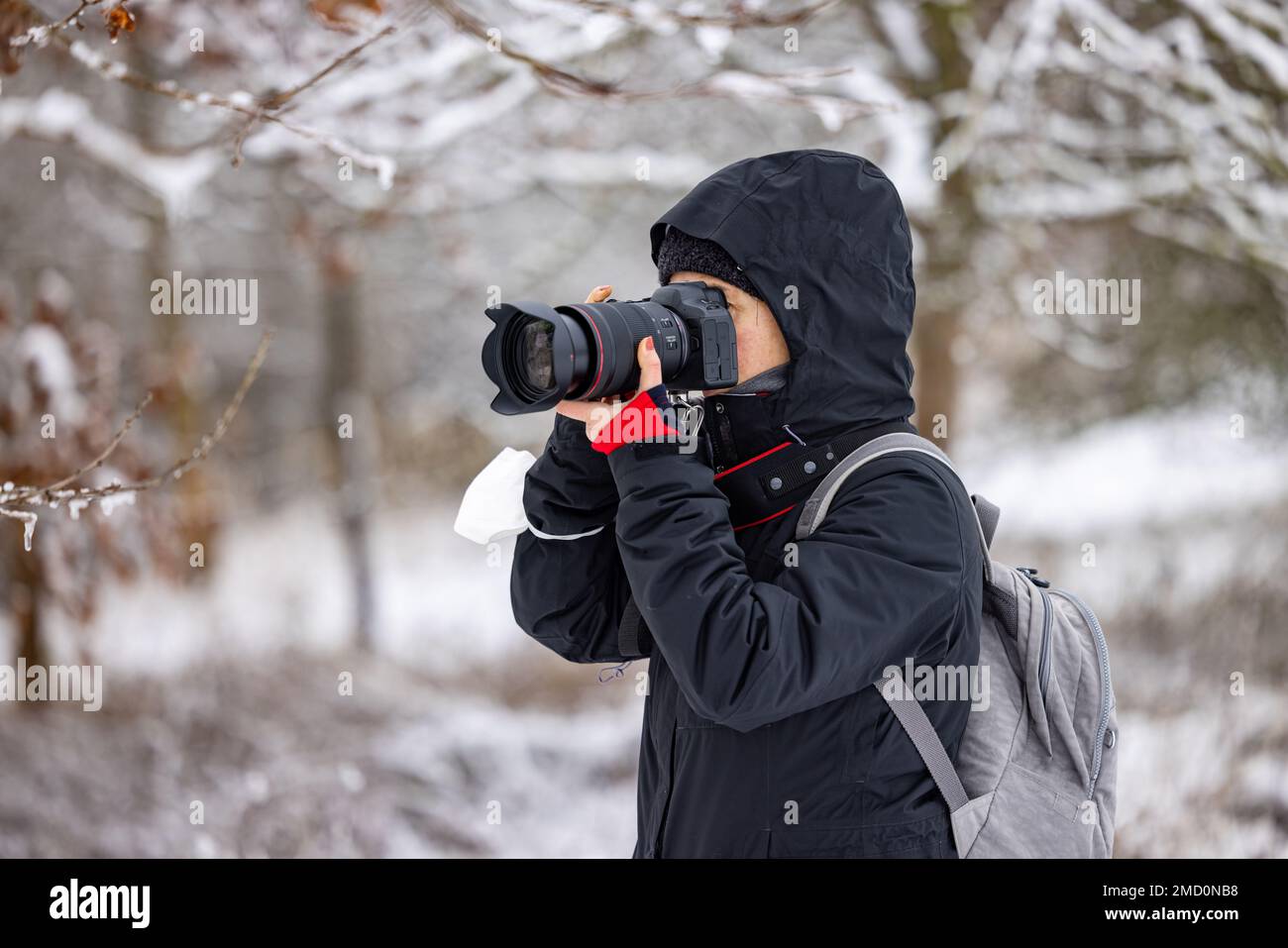 Mature female professional digital hi-res stock photography and images ...