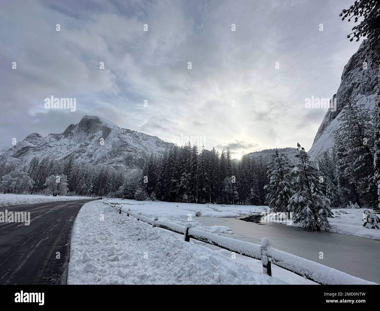 A scenic shot of a forest with a mountain in the background after a ...