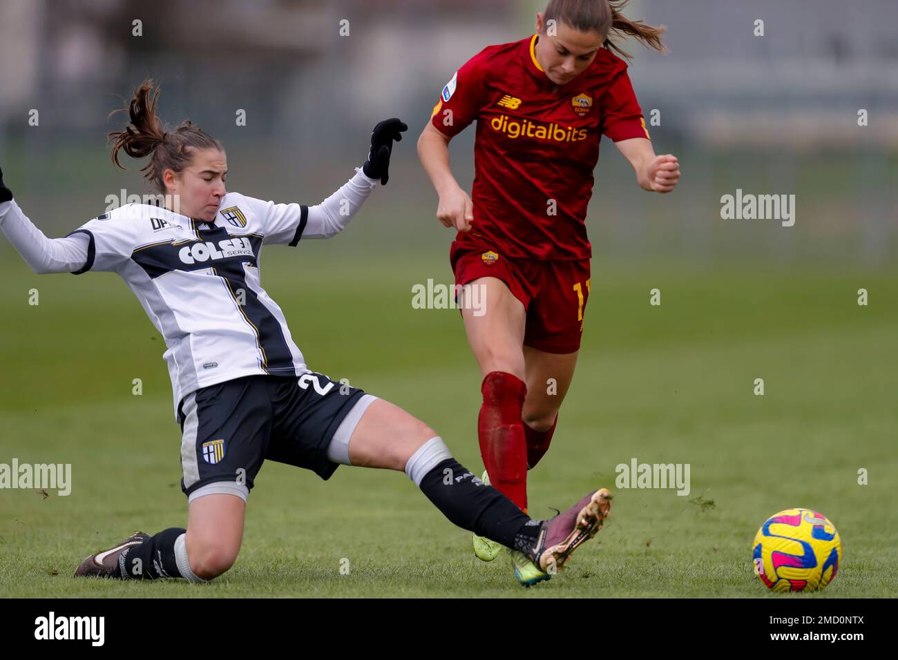 Arrigoni hi-res stock photography and images - Alamy