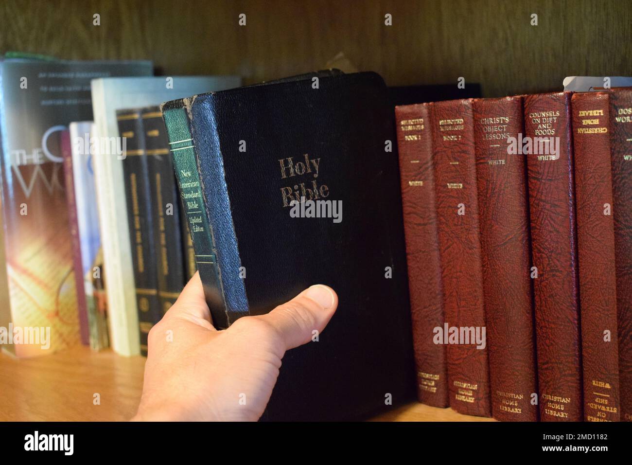 Reaching for God's Word 2 Stock Photo - Alamy