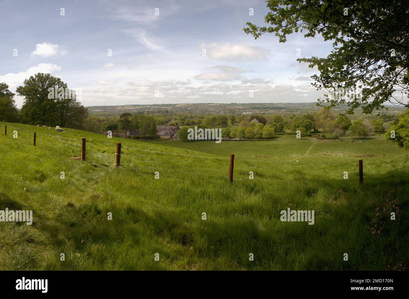 View across Somerset meadows in Spring Stock Photo - Alamy