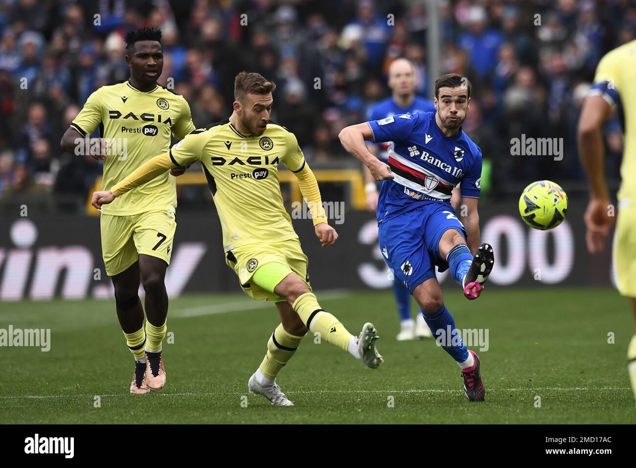 Udinese isaac hi-res stock photography and images - Alamy