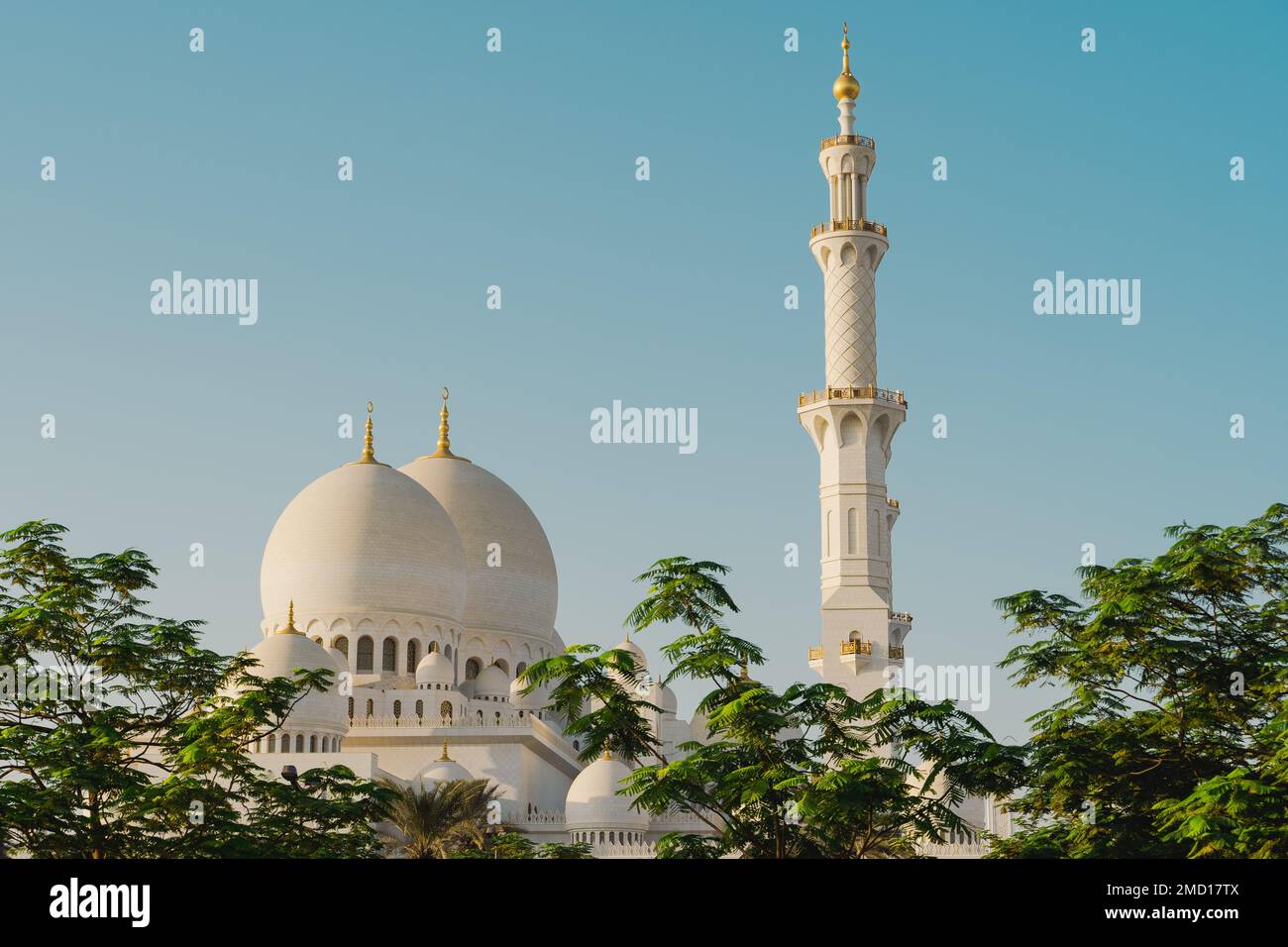 A scenic shot of Sheikh Zayed Grand Mosque behind green trees in Abu ...