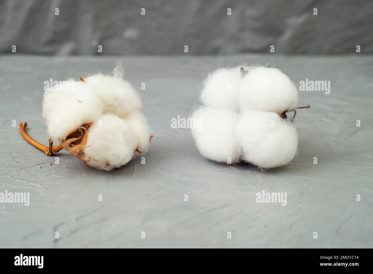 Real fake flowers hi-res stock photography and images - Alamy