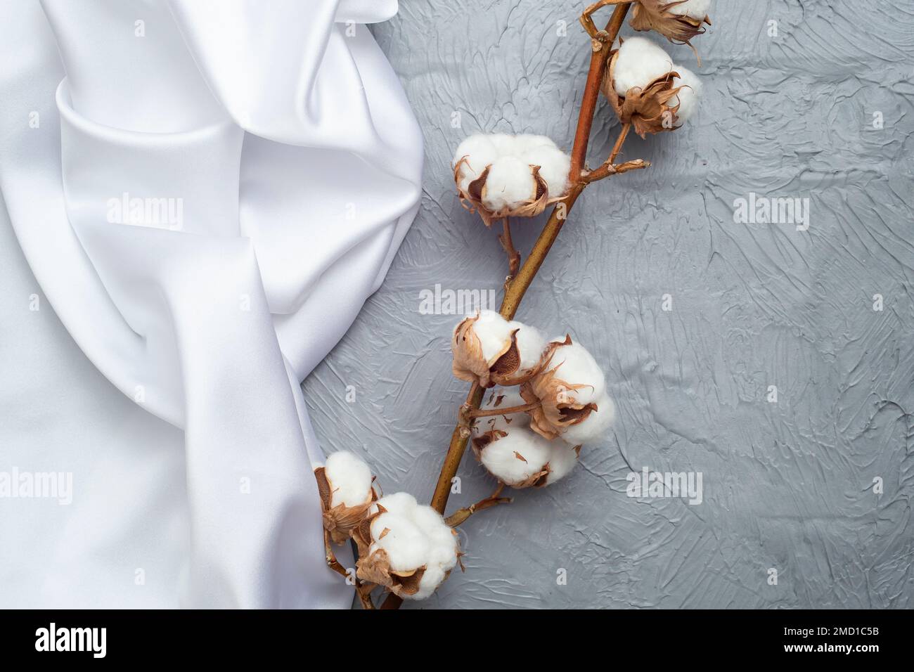 White cotton fabric flowers hi-res stock photography and images - Alamy