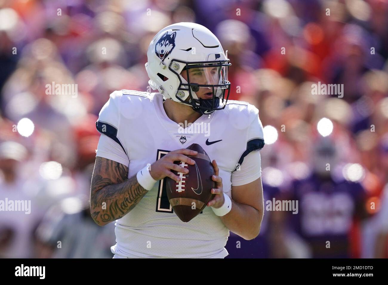 Connecticut quarterback Jack Zergiotis (11) sets back to pass in the ...