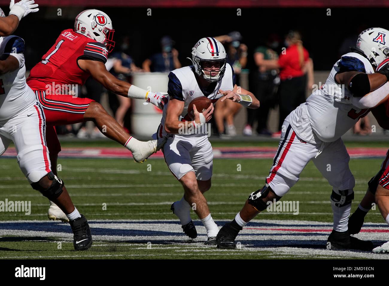 Arizona quarterback Will Plummer (15) in the first half during an NCAA ...