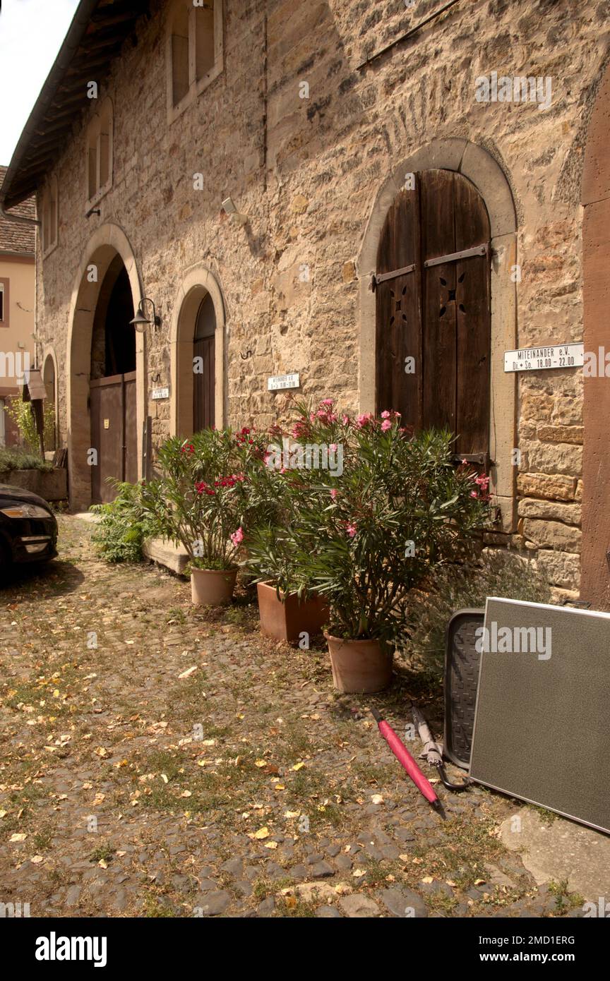 Oleander in front of old, stone house wall in Neustadt, Germany Stock ...