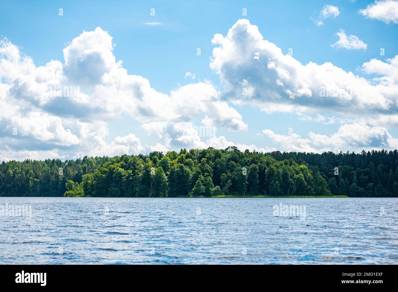 One of several small islands on Asveja the longest lake in Lithuania ...