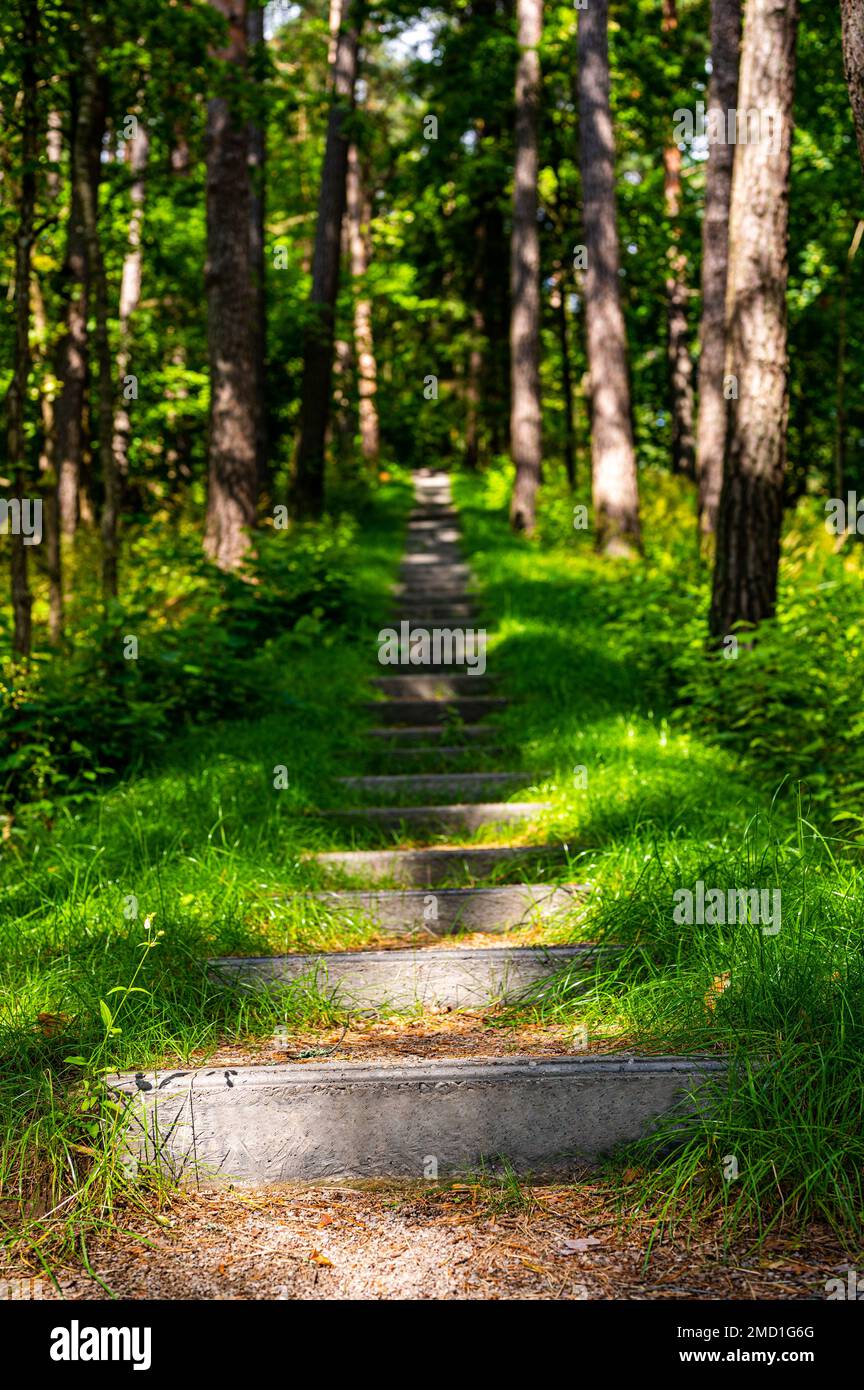 Scenery of concrete steps stairway pathway on the forest slope ...