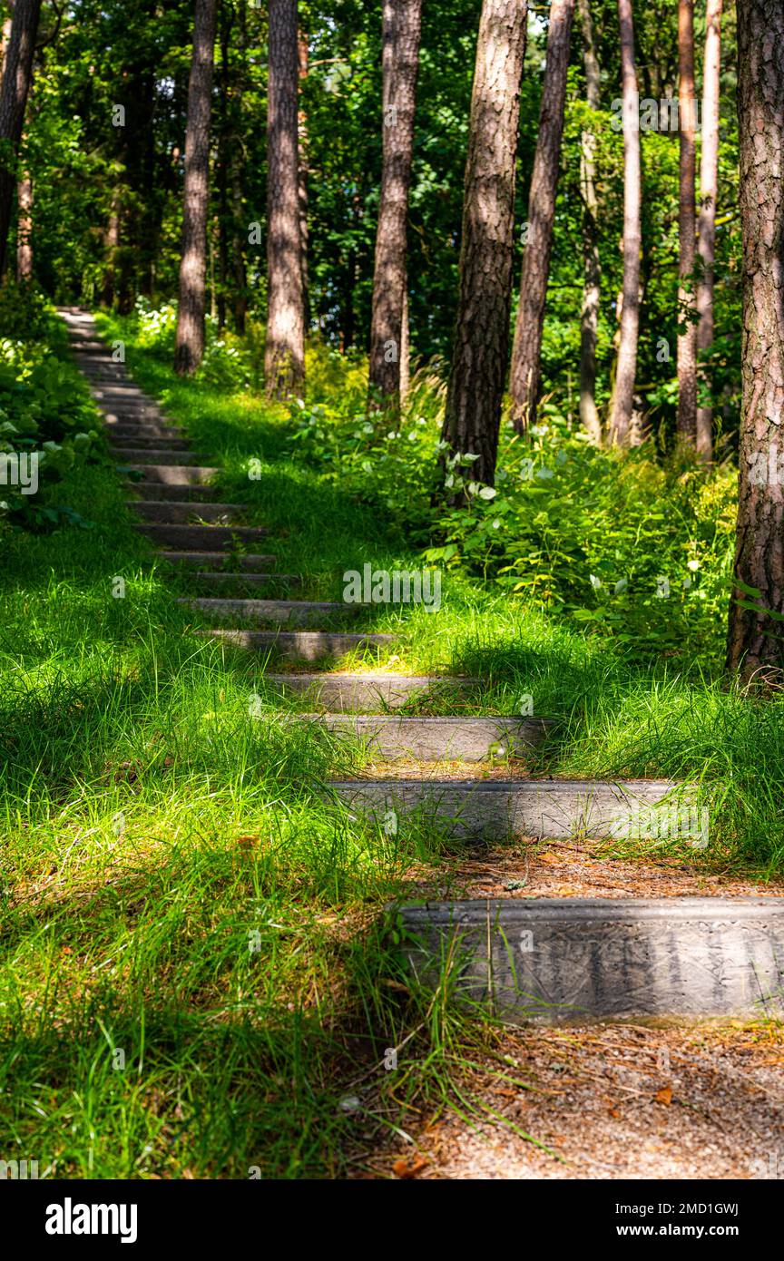 Scenery of concrete steps stairway pathway on the forest slope ...