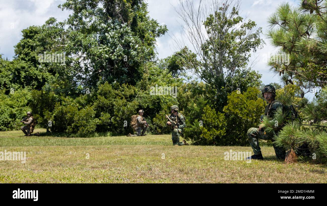 U.S. Marines with 2nd Air-Naval Gunfire Liaison Company (ANGLICO), II ...