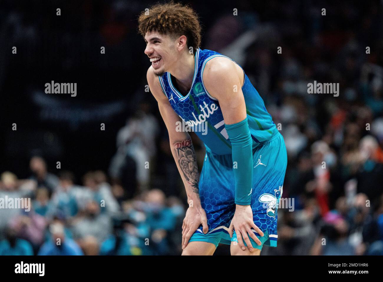 Charlotte Hornets guard LaMelo Ball (2) looks on against the New York ...