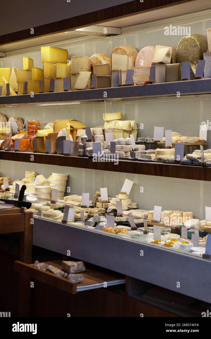 Cheese stall in a cheese shop Stock Photo - Alamy