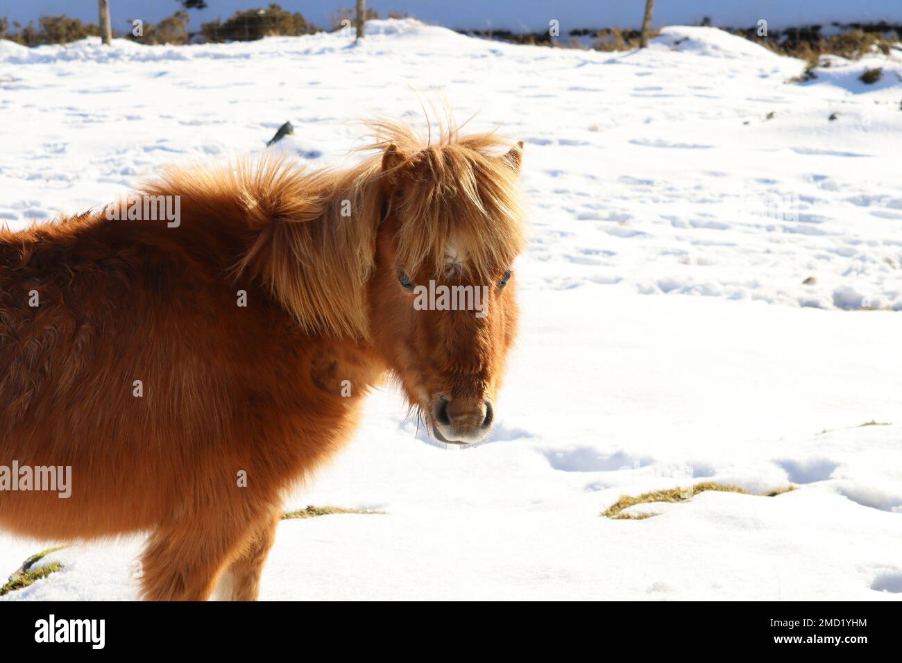 Snowdonia tryfan glyderau carneddau wales winter Stock Photo - Alamy