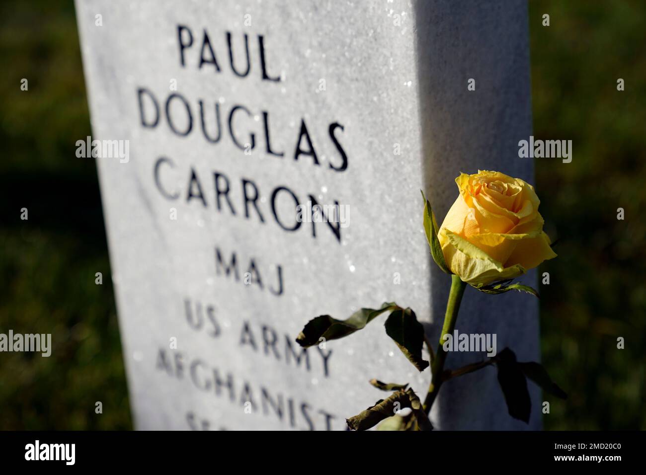 A yellow rose rests against the headstone of U.S. Army Major Paul ...