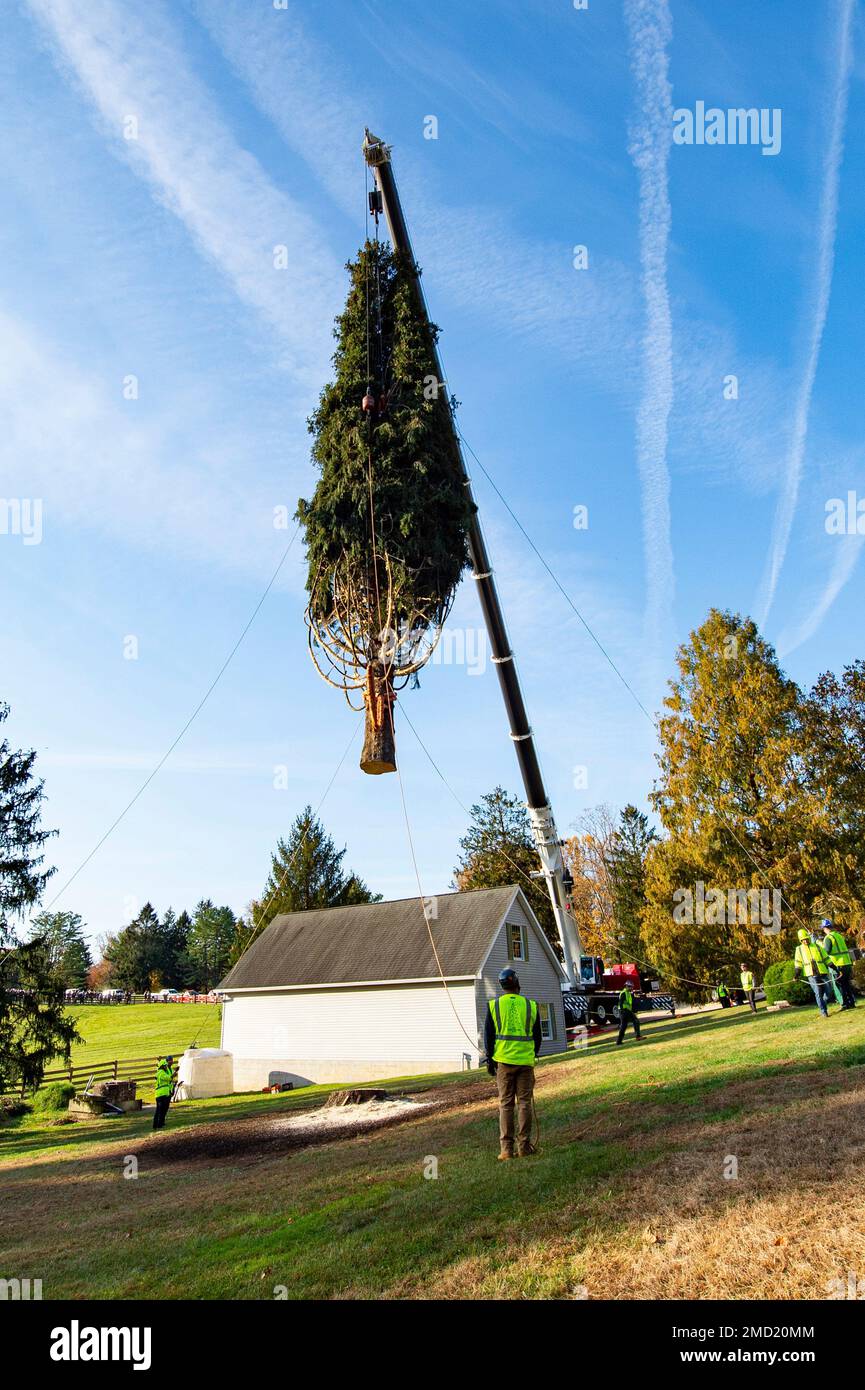 IMAGE DISTRIBUTED FOR TISHMAN SPEYER - This year's Rockefeller Center ...