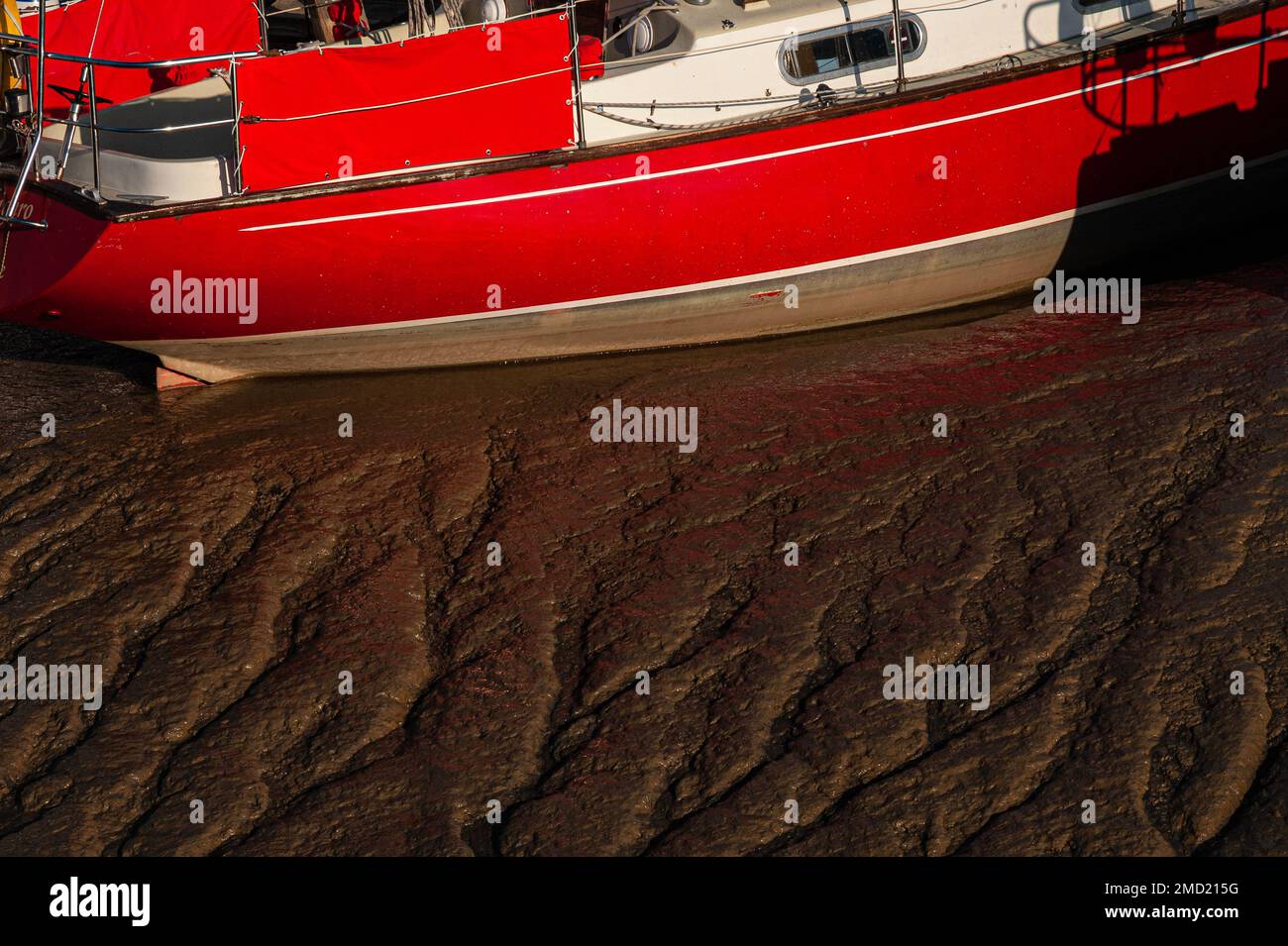 In late evening sunshine, thick dark brown mud lining the bed of the ...