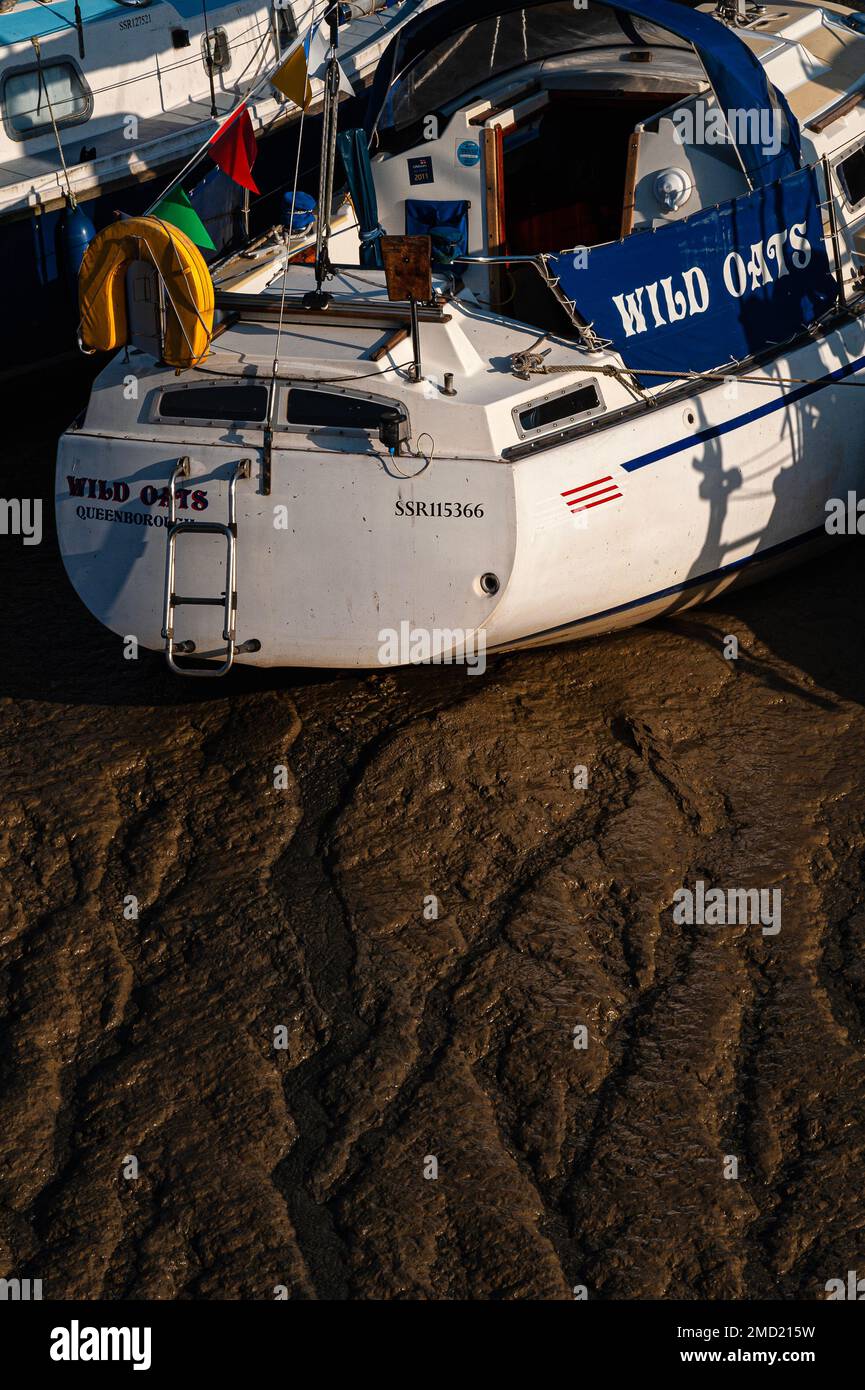 Mud sticks - at least a little - to Wild Oats planted in fertile soil ...