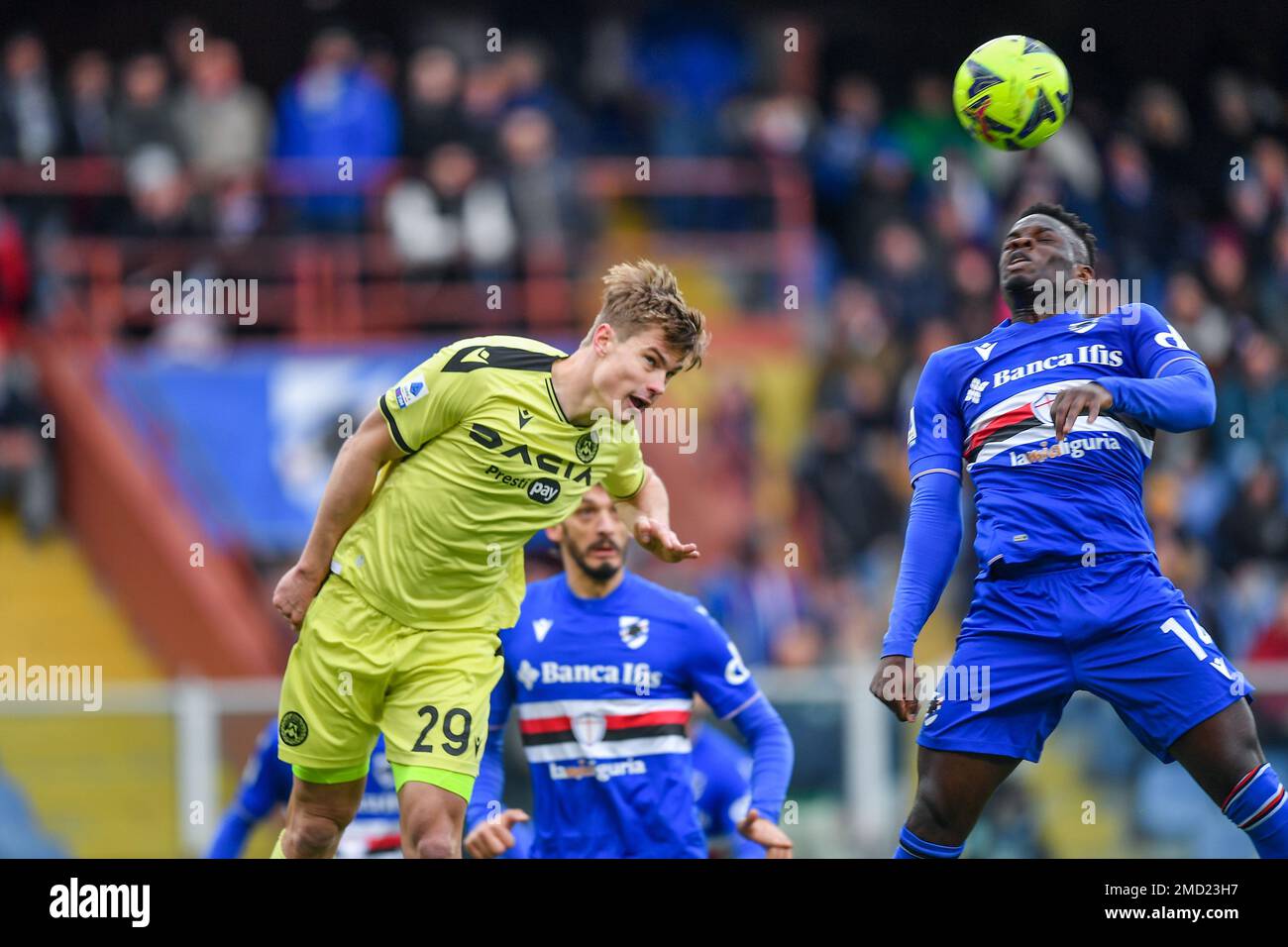 Sampdoria jaka hi-res stock photography and images - Alamy