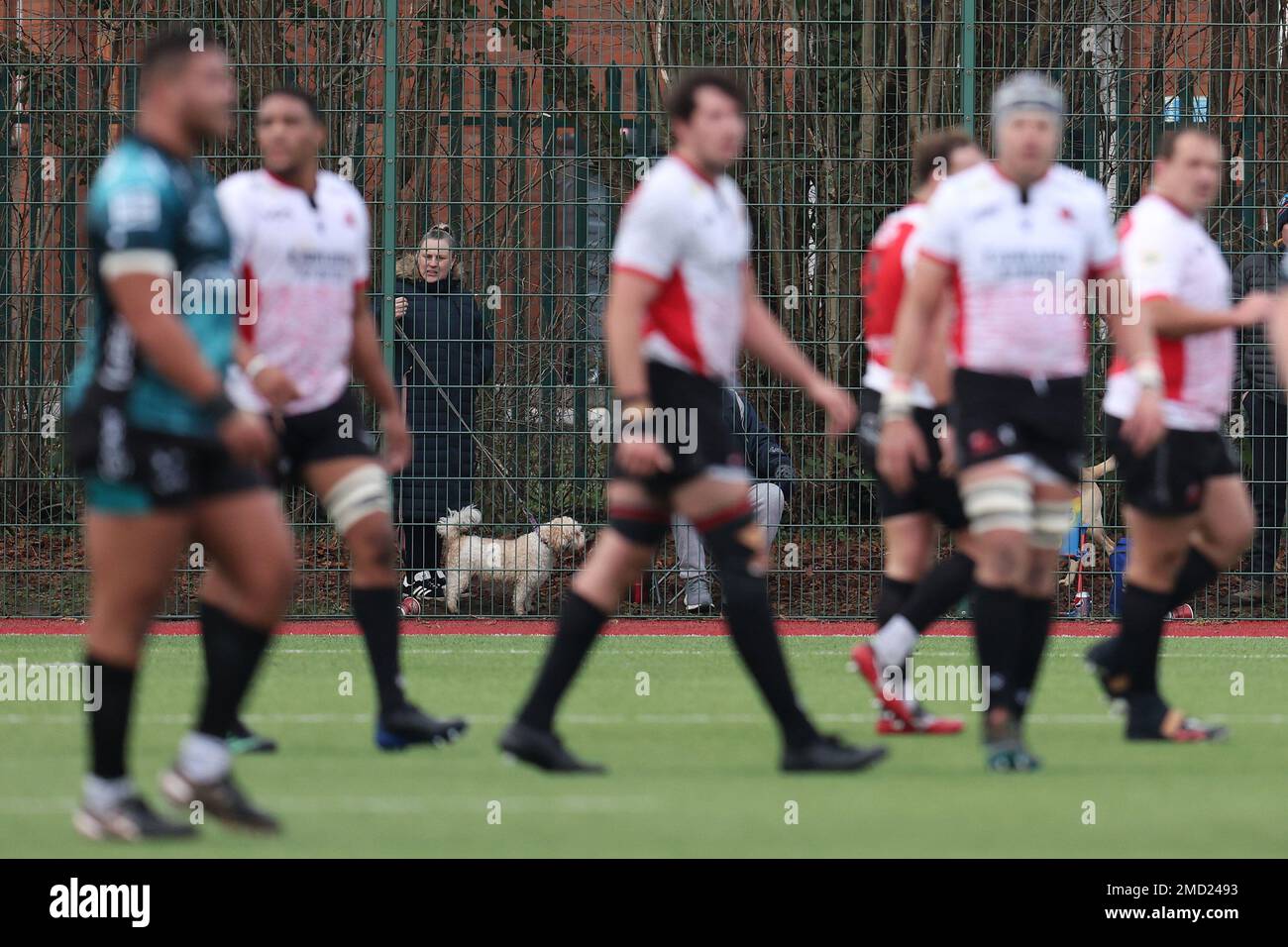 Ystrad Mynach, UK. 22nd Jan, 2023. People with dogs watch the game from ...