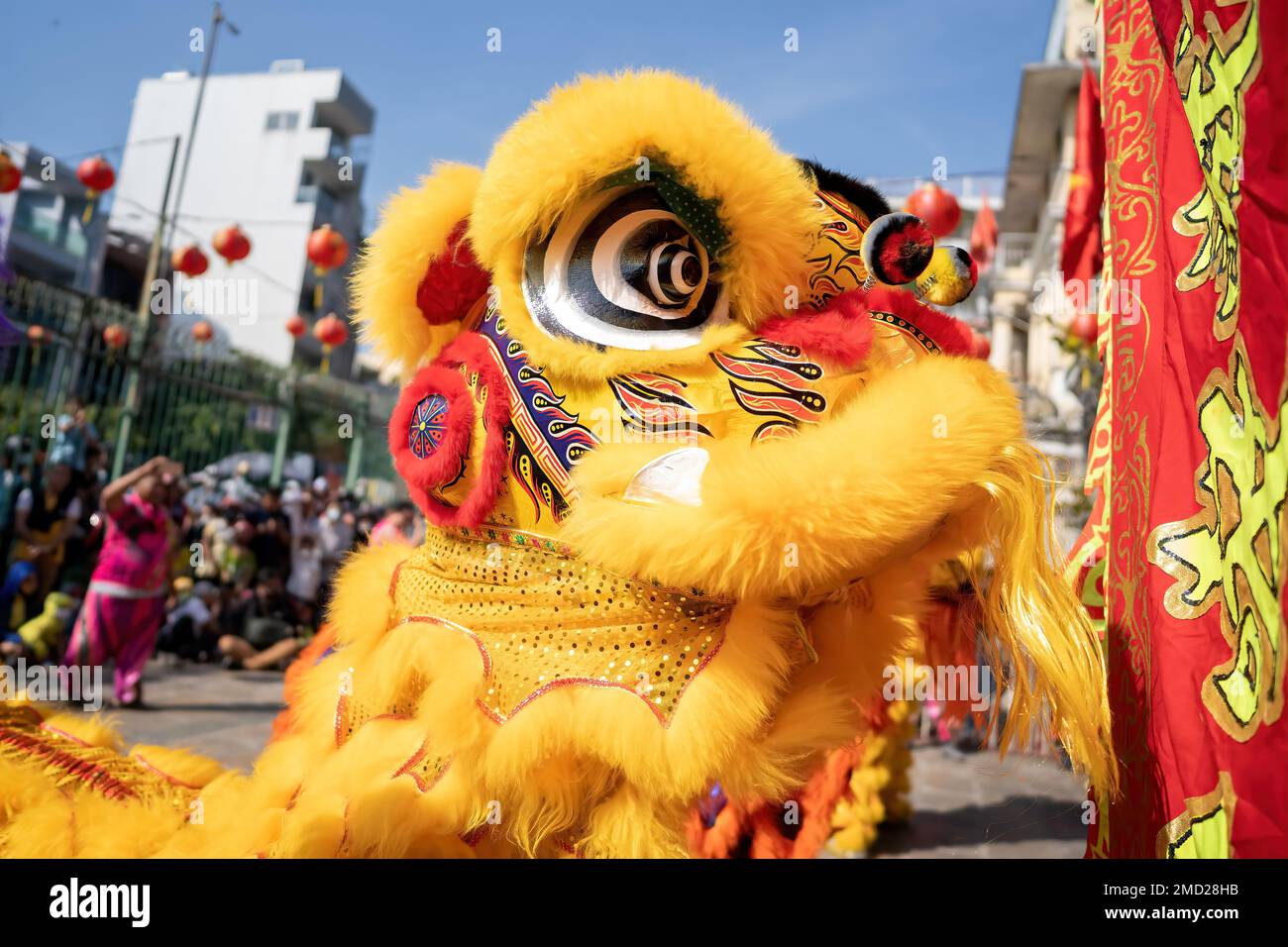 Dragon and lion dance show in chinese new year festival (Tet festival ...