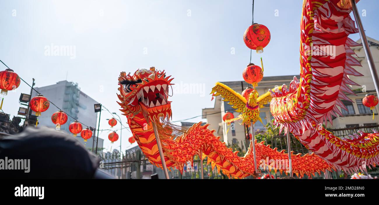 Dragon and lion dance show in chinese new year festival (Tet festival ...