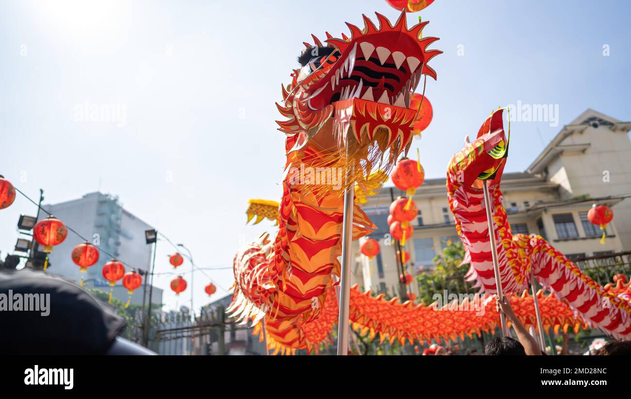 Dragon and lion dance show in chinese new year festival (Tet festival ...