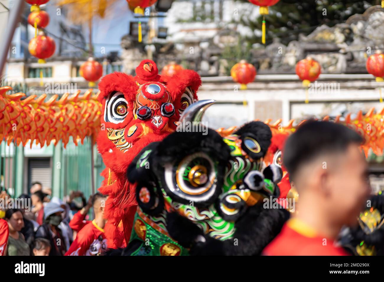 Dragon and lion dance show in chinese new year festival (Tet festival ...