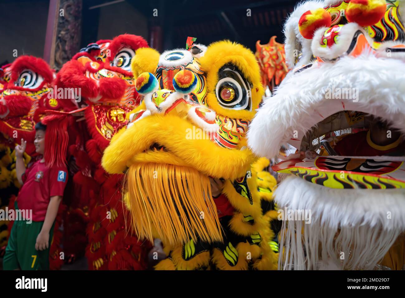 Dragon and lion dance show in chinese new year festival (Tet festival ...