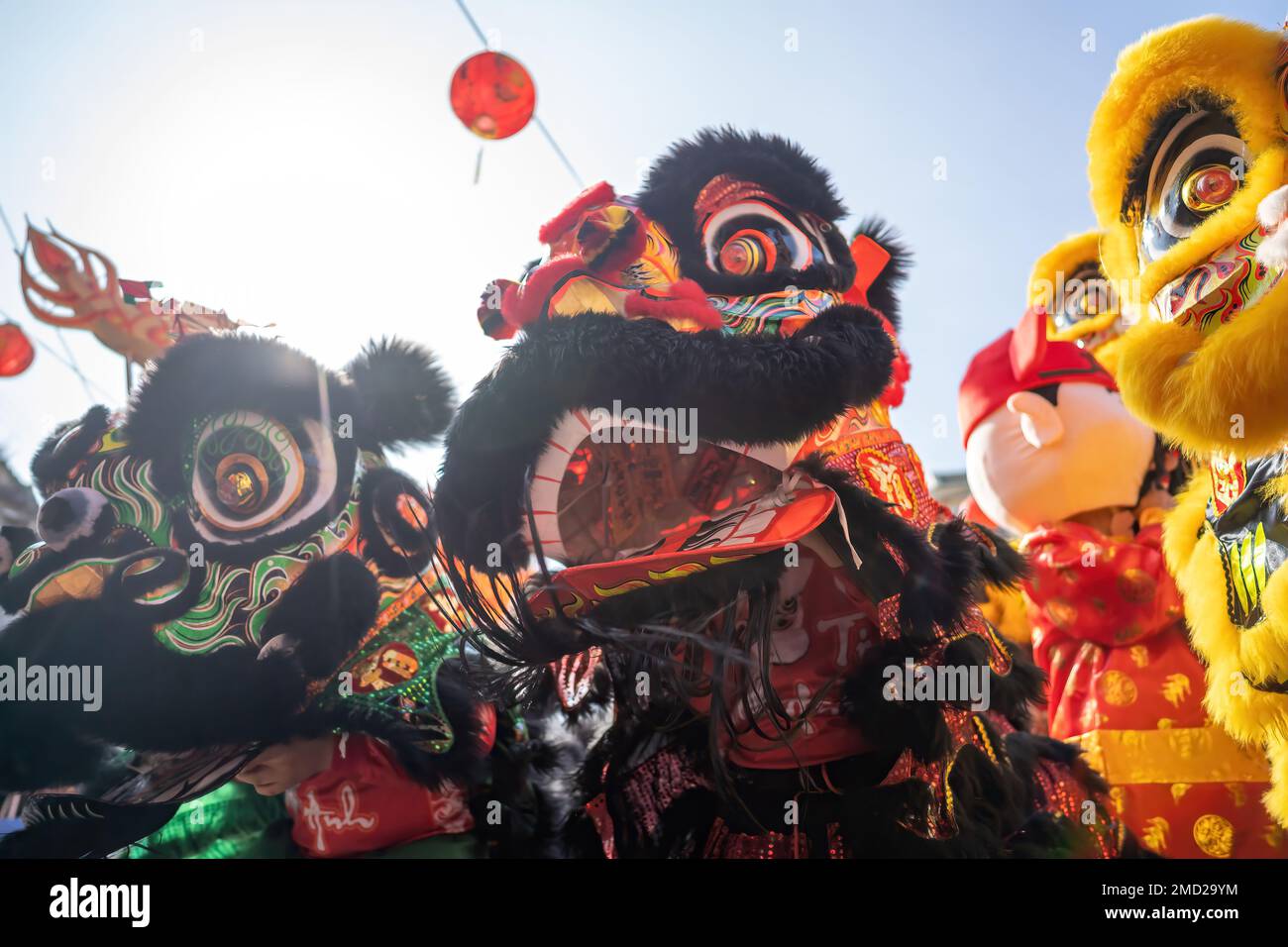 Dragon and lion dance show in chinese new year festival (Tet festival ...