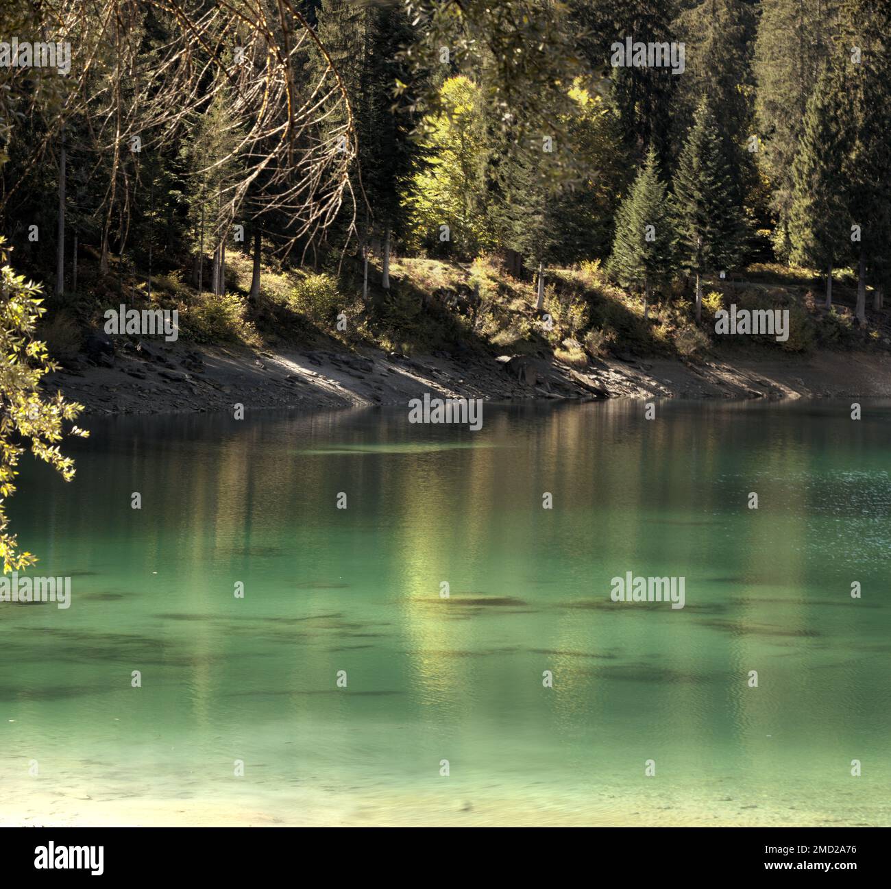 The Caumasee, jewel of the Grisons, near Flims in the Swiss Alps Stock ...