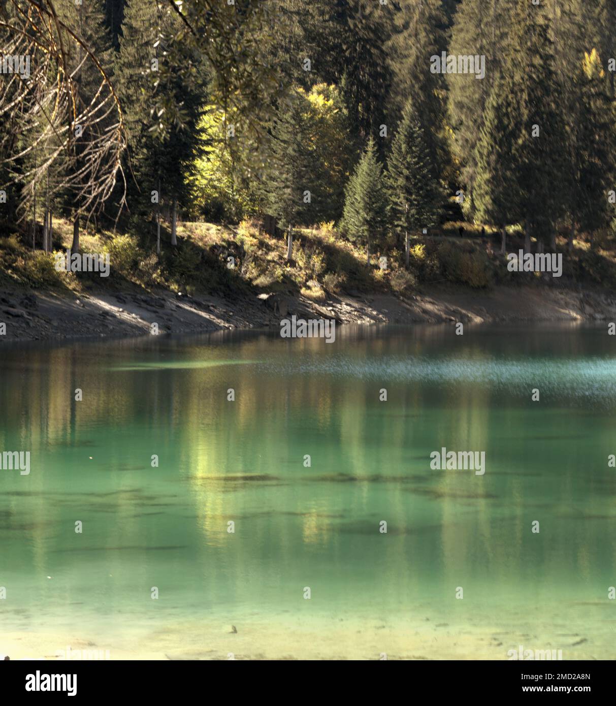 The Caumasee, jewel of the Grisons, near Flims in the Swiss Alps Stock ...