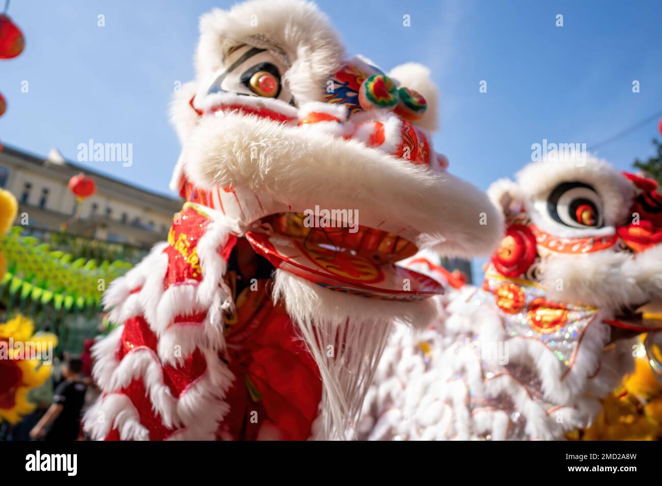 Dragon and lion dance show in chinese new year festival (Tet festival ...