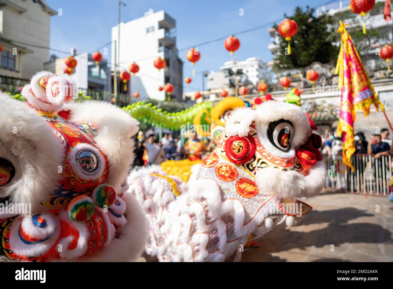 Dragon and lion dance show in chinese new year festival (Tet festival ...