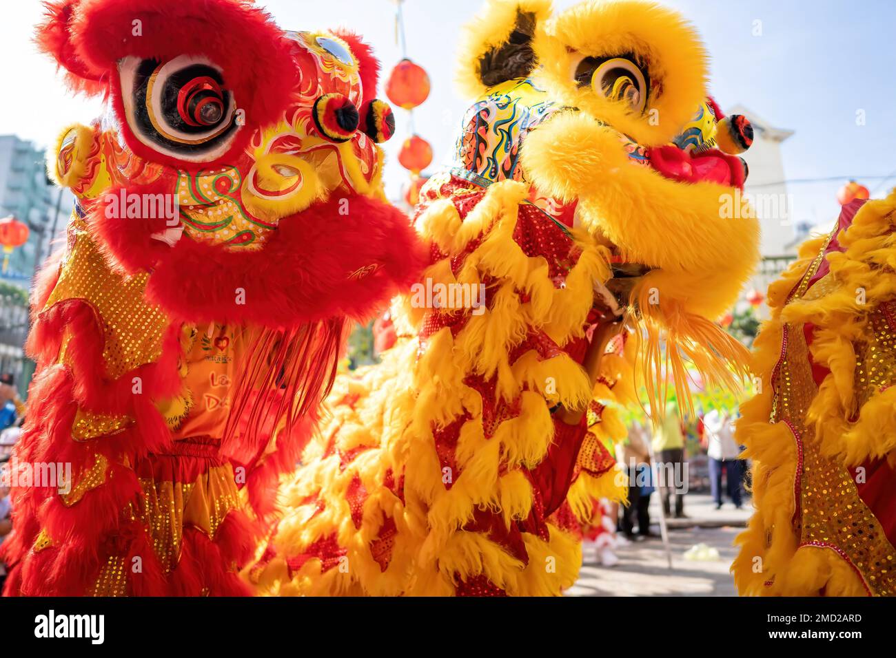 Dragon and lion dance show in chinese new year festival (Tet festival ...