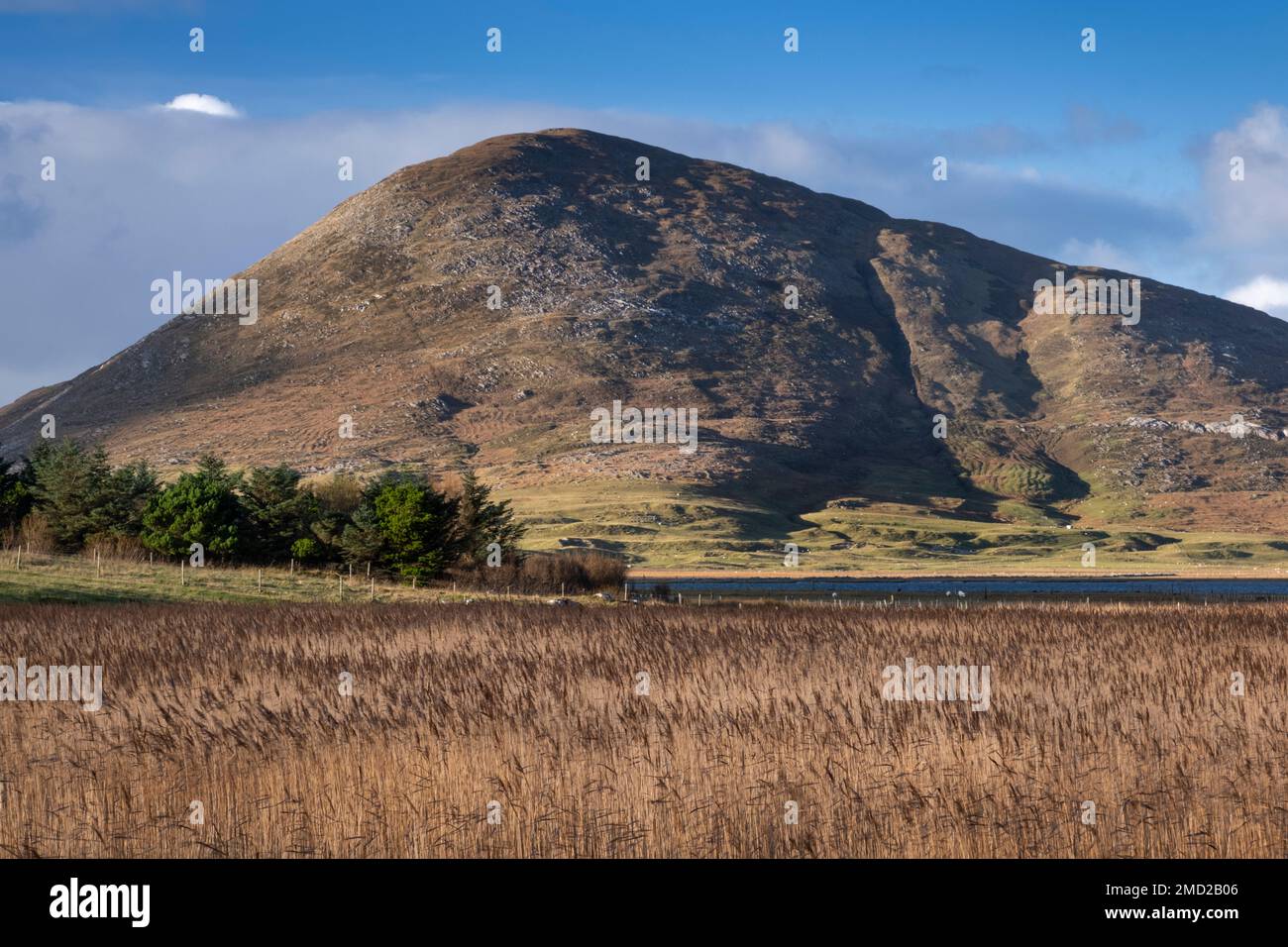 Northton reed beds hi-res stock photography and images - Alamy