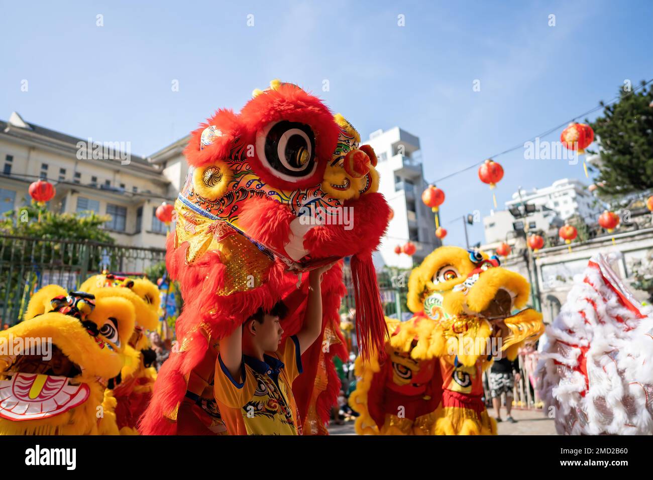 Dragon and lion dance show in chinese new year festival (Tet festival ...