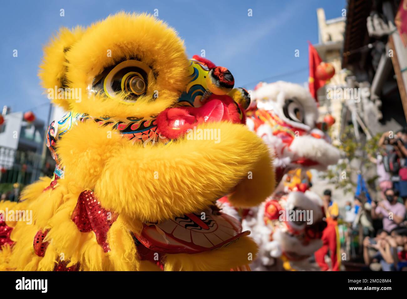 Dragon and lion dance show in chinese new year festival (Tet festival ...