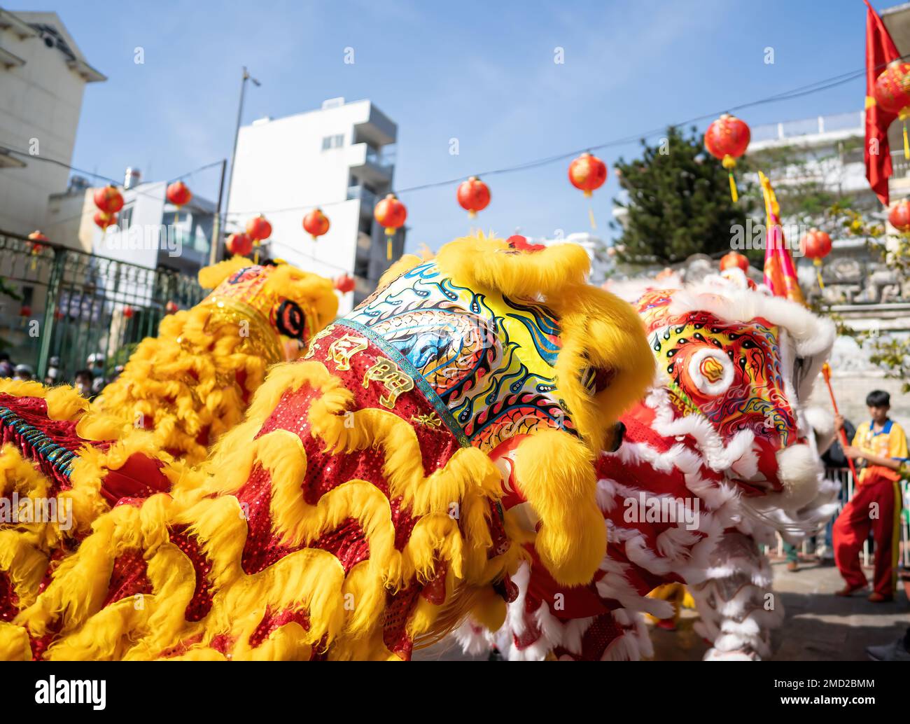 Dragon and lion dance show in chinese new year festival (Tet festival ...